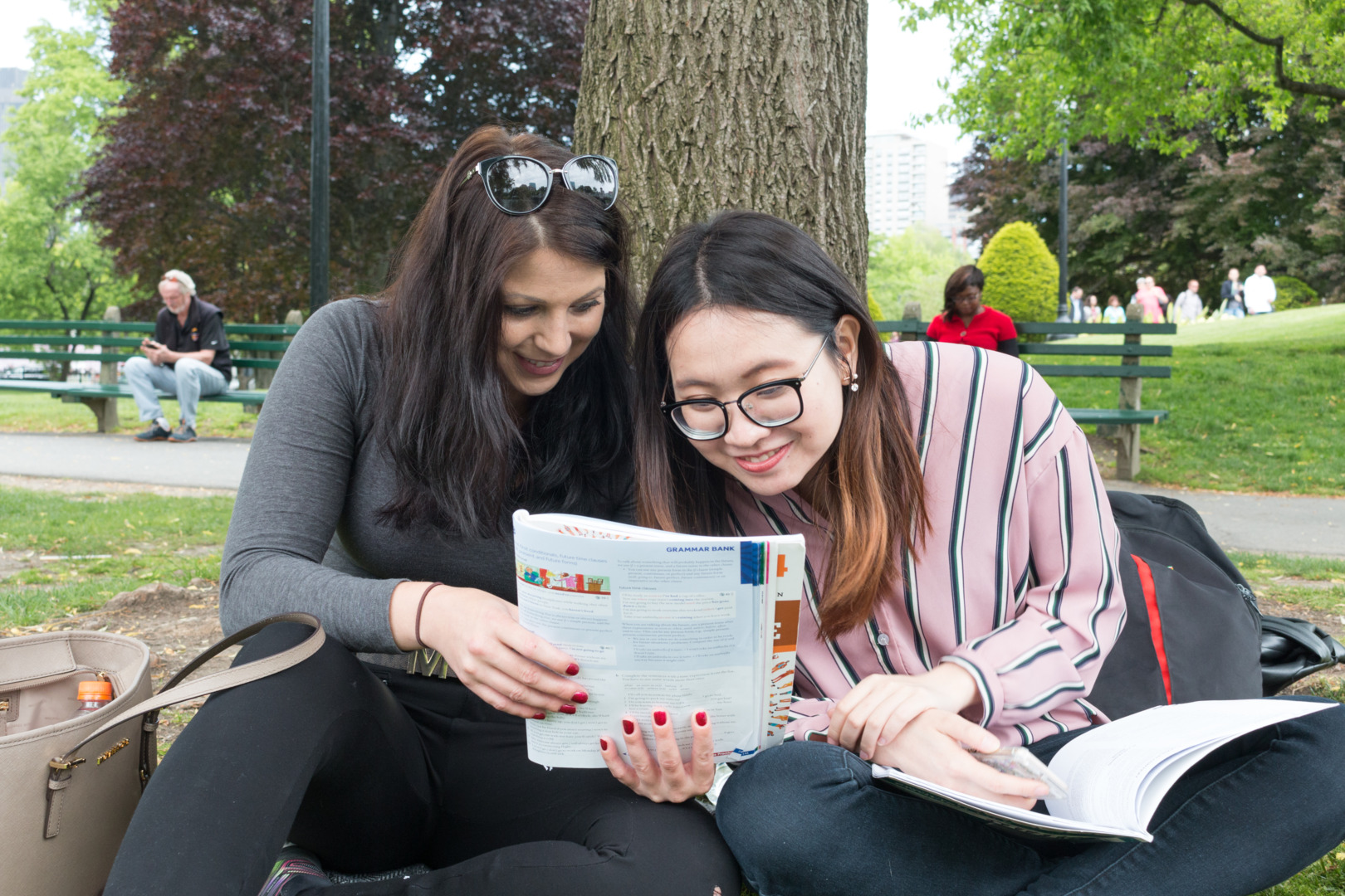 Learn English in Boston – EC Boston English School